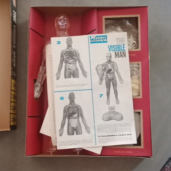 Renewal | Other | Vintage The Visible Man Science Anatomy Project ...